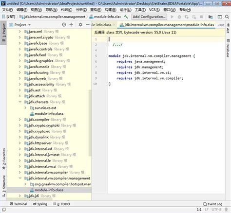 代码编辑器 intellij idea v2025 2 1 绿色便携版 portableappk