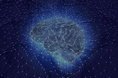 Human Brain Like Functions Emerge In Neuromorphic Metallic Nanowire Network
