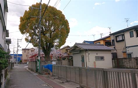 神社丹上菅原神社 堺市美原区