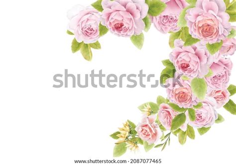 Soft Watercolor Roses Wedding Invitation Card Stock Vector Royalty