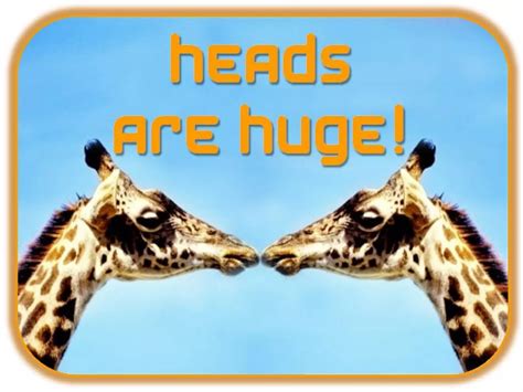 Powerpoint Design Fashion Trends 2007 Predictions Ppt