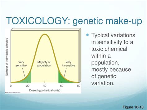 Ppt Toxicology Chemical Risks Powerpoint Presentation Free Download
