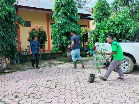 Program Penghijauan Lingkungan Sma Negeri 1 Sp Mamplam Kerja Sama Bph