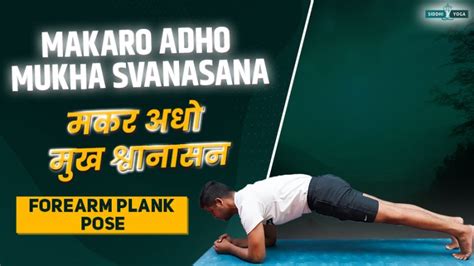 Makara Adho Mukha Svanasana Dolphin Plank Pose How To Do Benefits