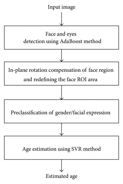 Overview Of An Age Estimation System That Considers The Effects Of Download Scientific Diagram