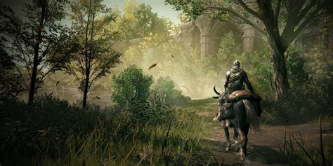 Elden Ring Player Finds Hidden Passage In Erdtree DLC S Shadow Keep