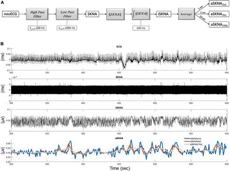 A The Framework For Skin Nerve Activity Skna Extraction Neuecg Download Scientific Diagram