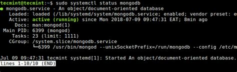 How To Install MongoDB On Ubuntu