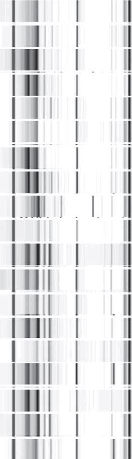 Results Of Rep Pcr And Mlst Analyses For The 19 A Baumannii Isolates
