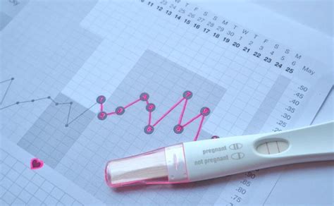 Basal Body Temperature How To Recognize Your Fertile Days Womens