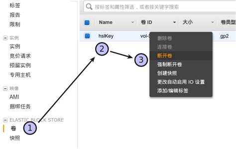 Aws Ec2 挂载 其它卷aws Ec2 网络配置出错，不能 Ssh 连接时，需要启动一个新实例，去挂载 这个出错的卷，来修改卷里的错误