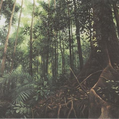 Johan Marjonid Preservation Series 1995 Acrylic On Canvas 121 Download Scientific