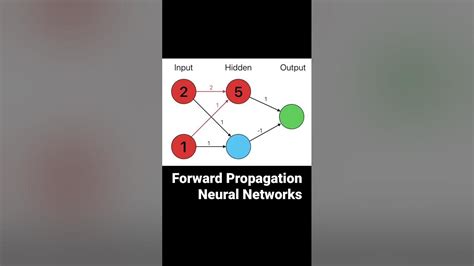 Forward Propagation Neural Networks Softwareengineering Machinelearning Ai Youtube