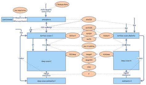 Open System C Cycle Template Insight Maker