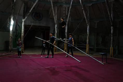 “Монголчууд эх орноосоо бусад газарт дэлхийн циркийн одууд” Humanz