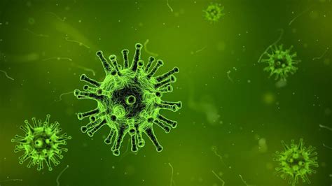 Infecciones Bacterianas Segunda Causa De Muerte Del Mundo