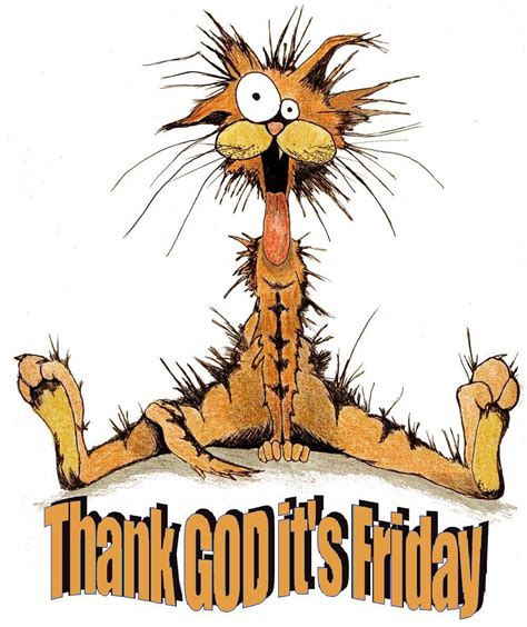Garfield T