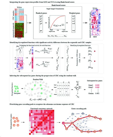 The Overview Of The Integrative Strategy For Prioritizing Gene