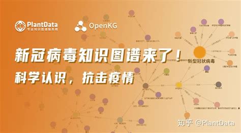 新冠病毒知识图谱来了！ 知乎