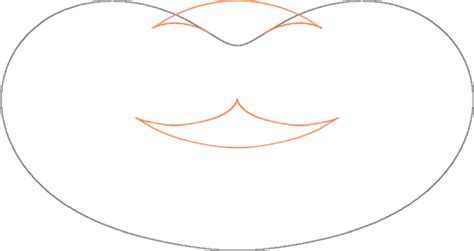 a non convex curve together with its wigner caustic download
