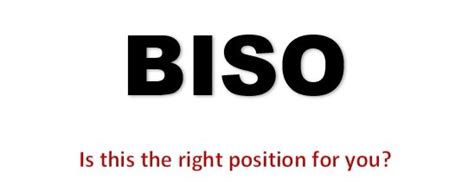 The Who What And How Of The Business Information Security Officer Biso