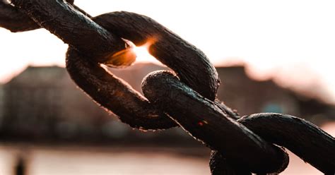 Software Supply Chain Security Everything You Need To Know Ai Sangam