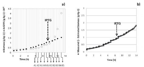 Growth Profile Of The Recombinant E Coli During The Controlled