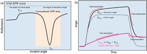 Analysis Of Surface Plasmon Resonance Curves With A Novel Sigmoid Asymmetric Fitting Algorithm