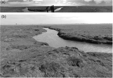 Monitoring Mapping And Modelling Saltmarsh With Uavs