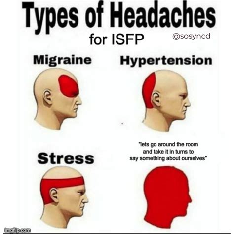 28 Funny Memes Any Isfp Will Relate To So Syncd