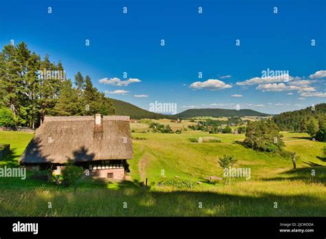 Landschaft Bei Lauterbach Im Schwarzwald In Deutschland Stockfotografie Alamy