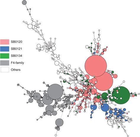 minimum spanning tree mst of the 2 332 mycobacterium bovis isolates