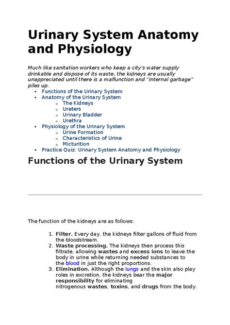 Urinary System Anatomy And Physiology Urinary System Anatomy And