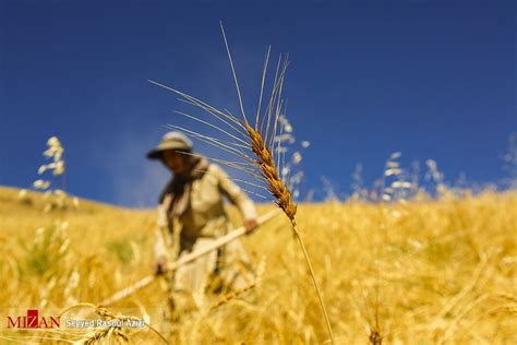 ۸۰ درصد قربانیان تغییرات اقلیمی را زنان تشکیل می‌دهند تغییر اقلیم چه خطراتی برای زنان دارد؟