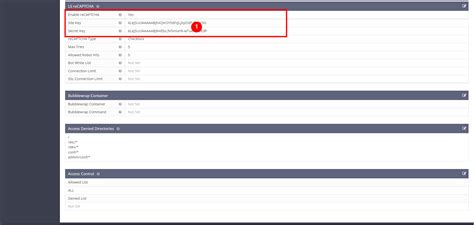 Adding Recaptcha Through Litespeed Webadmin Console Marked My Site As