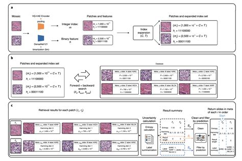 Harvard Researchers Propose A Self Supervised Deep Learning Algorithm For Fast And Scalable