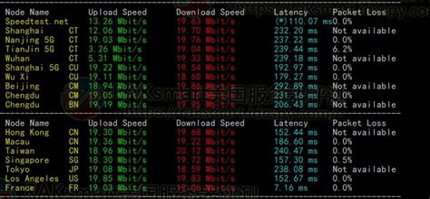 德国vps怎么样？raksmart德国vps速度和性能综合评测（国际bgp） Raksmart美国服务器评测