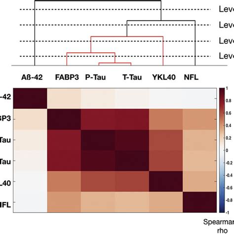 Correlations And Hierarchical Clustering Of Csf Biomarkers Download Scientific Diagram