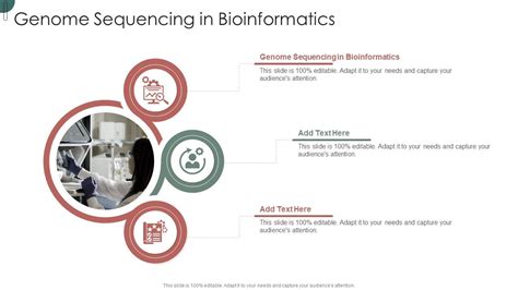 Genome Sequencing In Bioinformatics In Powerpoint And Google Slides CPP