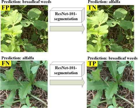 Convolutional Neural Network Based On The Fusion Of Image