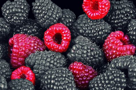 Do Black Raspberries Hold The Key To Oral Cancer Prevention