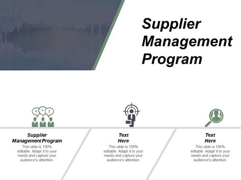 Supplier Management Program Ppt Powerpoint Presentation Gallery