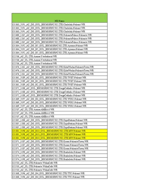 Nekemt City Data Case Pdf