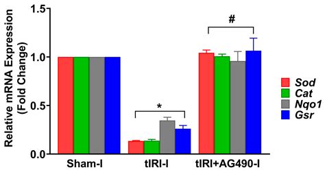 Cells Free Full Text The Regulatory Effects Of Jak2 Stat3 On