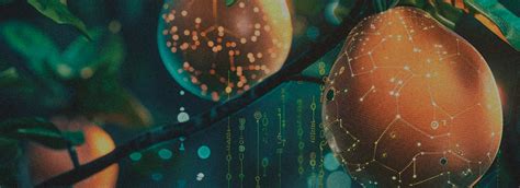 Hyperledger Fabric And Quorum In Dubai Blockchain Strategy