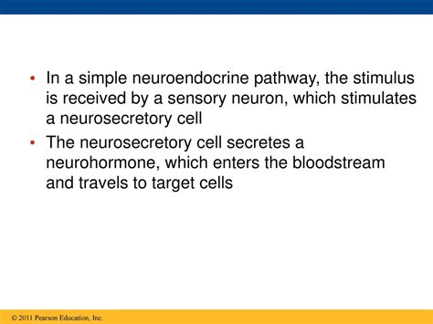 Hormones And The Endocrine System Ppt Download