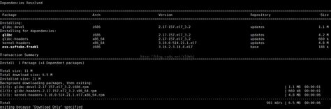 Centos中使用yum下载 Rpm 包及其所有依赖cent Os 8 Rpm工具包 Csdn博客