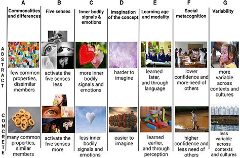 Difference Between Abstract And Concrete Concepts At Raymond Falgoust Blog