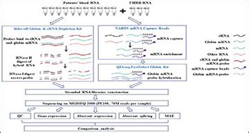Systematic Evaluation Of The Two Main Blood Based Rna Seq Approaches For Mendelian Disease