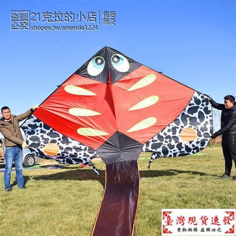【免運】濰坊風箏特大長尾魚風箏成人微風易飛 好飛大型 高檔成人線輪 蝦皮購物